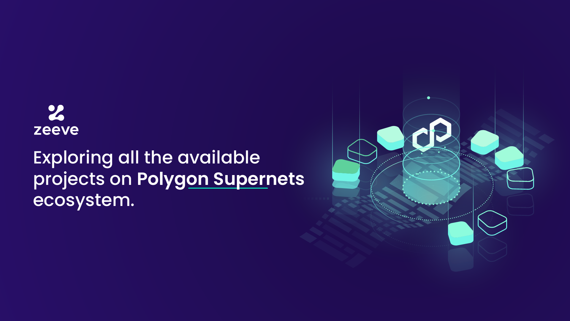 Exploring all the available projects on the Polygon Supernets ecosystem ...